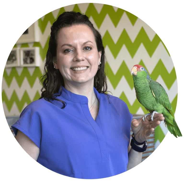 Our Team | Avian & Exotic Philly Medical Surgical Clinic