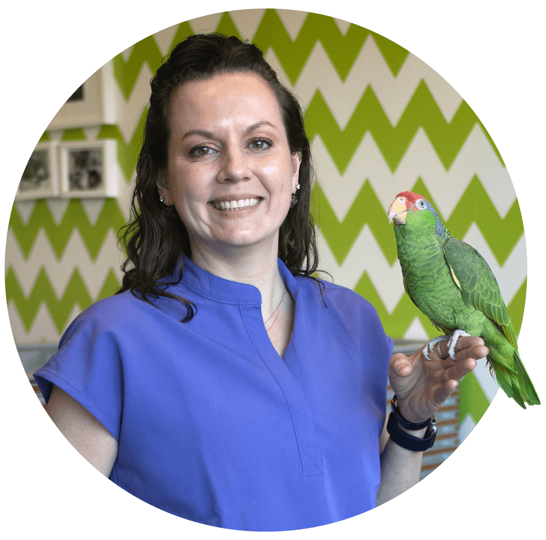Our Team | Avian & Exotic Philly Medical Surgical Clinic