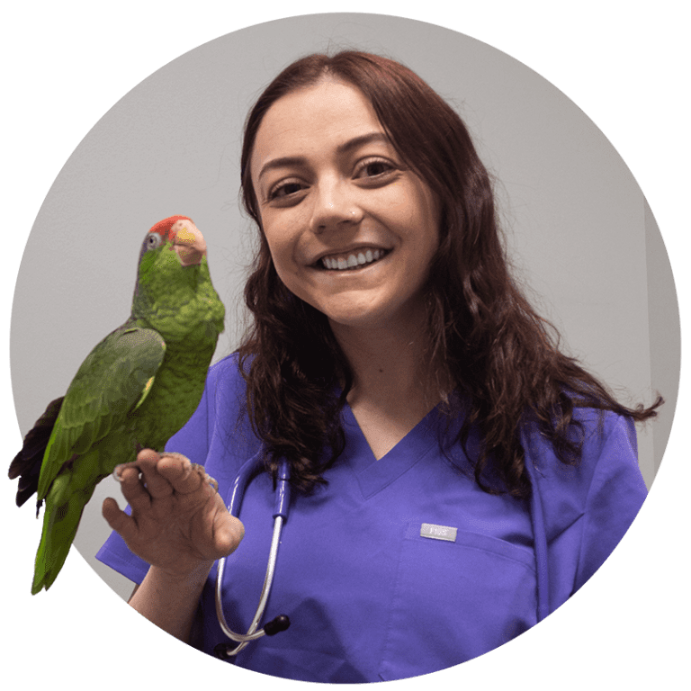 Our Team | Avian & Exotic Philly Medical Surgical Clinic