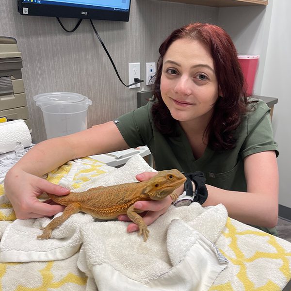 Exotic Emergency Vet in Philadelphia, PA | Avian & Exotic Philly ...