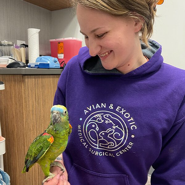 Request an Appointment | Avian & Exotic Philly Medical Surgical Clinic