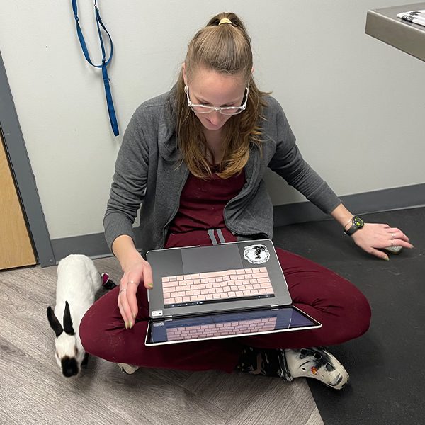 Wildlife Resources | Avian & Exotic Philly Medical Surgical Clinic