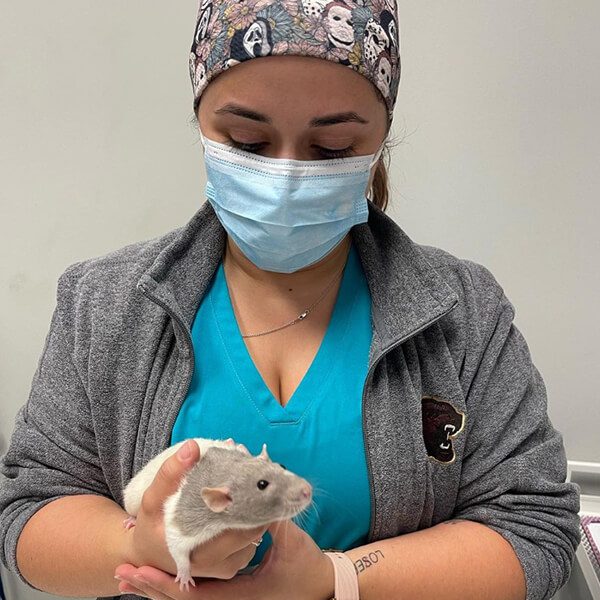 Exotic Small Mammal Care in Philadelphia, PA | Avian & Exotic Philly ...