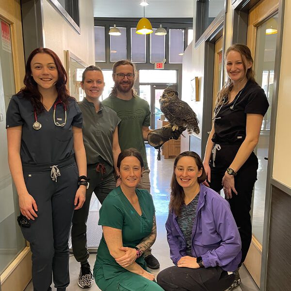 Our Team | Avian & Exotic Philly Medical Surgical Clinic