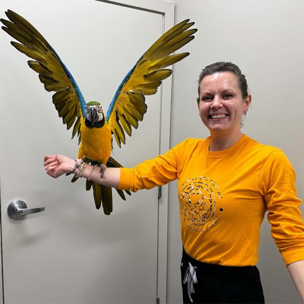 Pet Medication Request | Avian & Exotic Philly Vet Medical Surgical Clinic